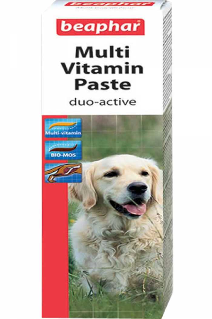 DUO-ACTIVE PASTE – Scientific Remedies